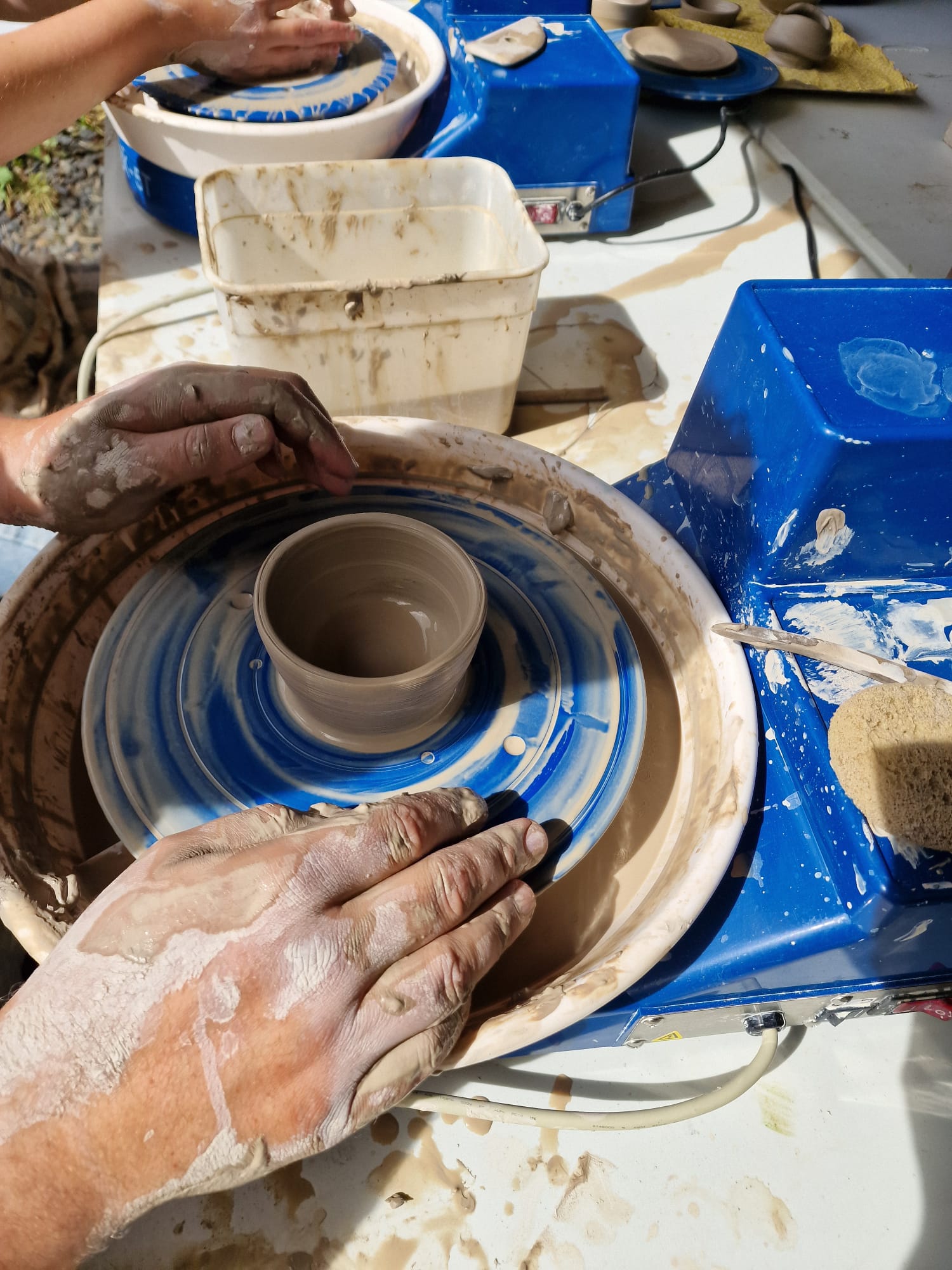 Pottery & Painting (2 sessions) - Willow Wellbeing Wales