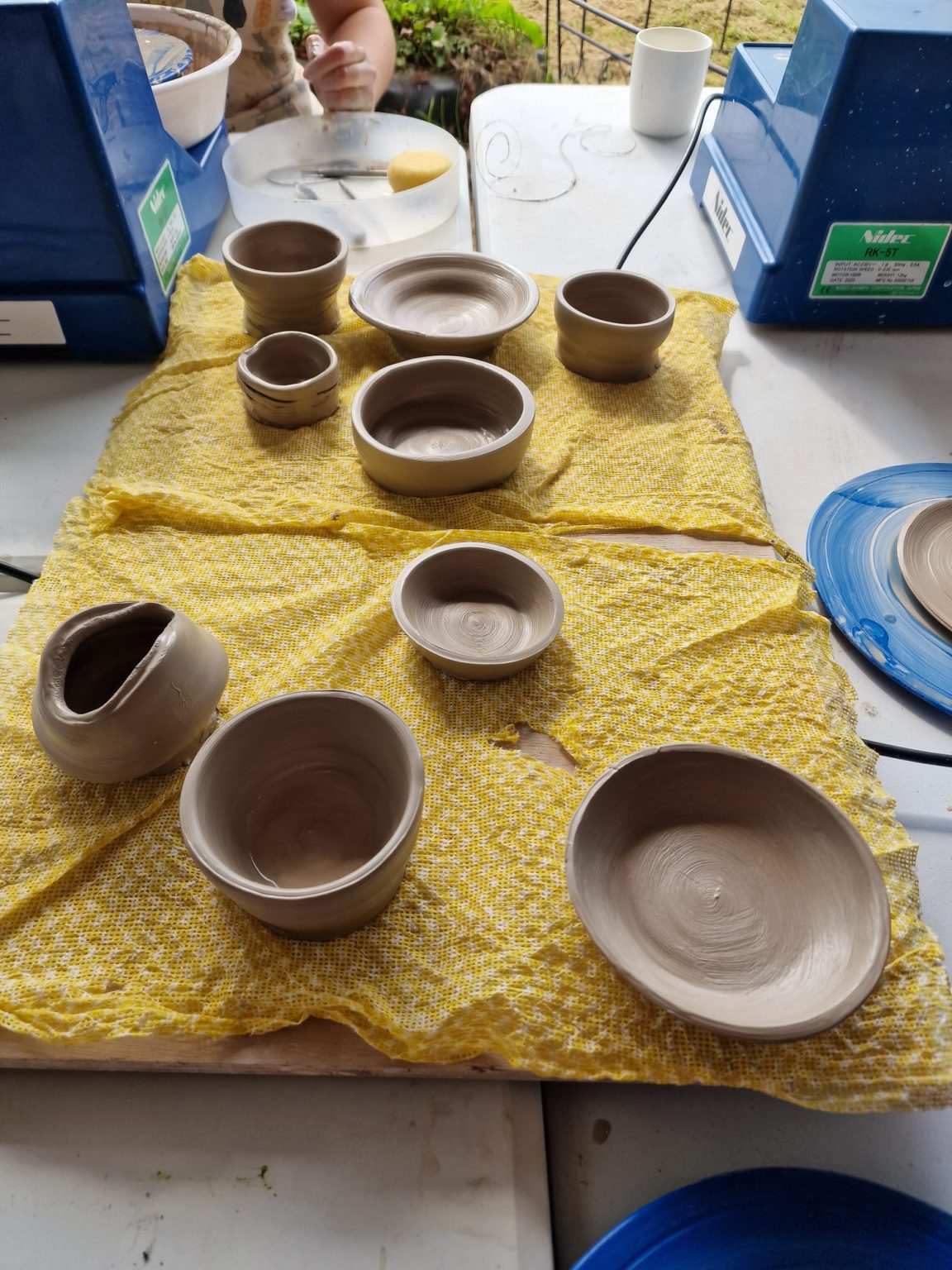 Gallery - Willow Wellbeing Wales